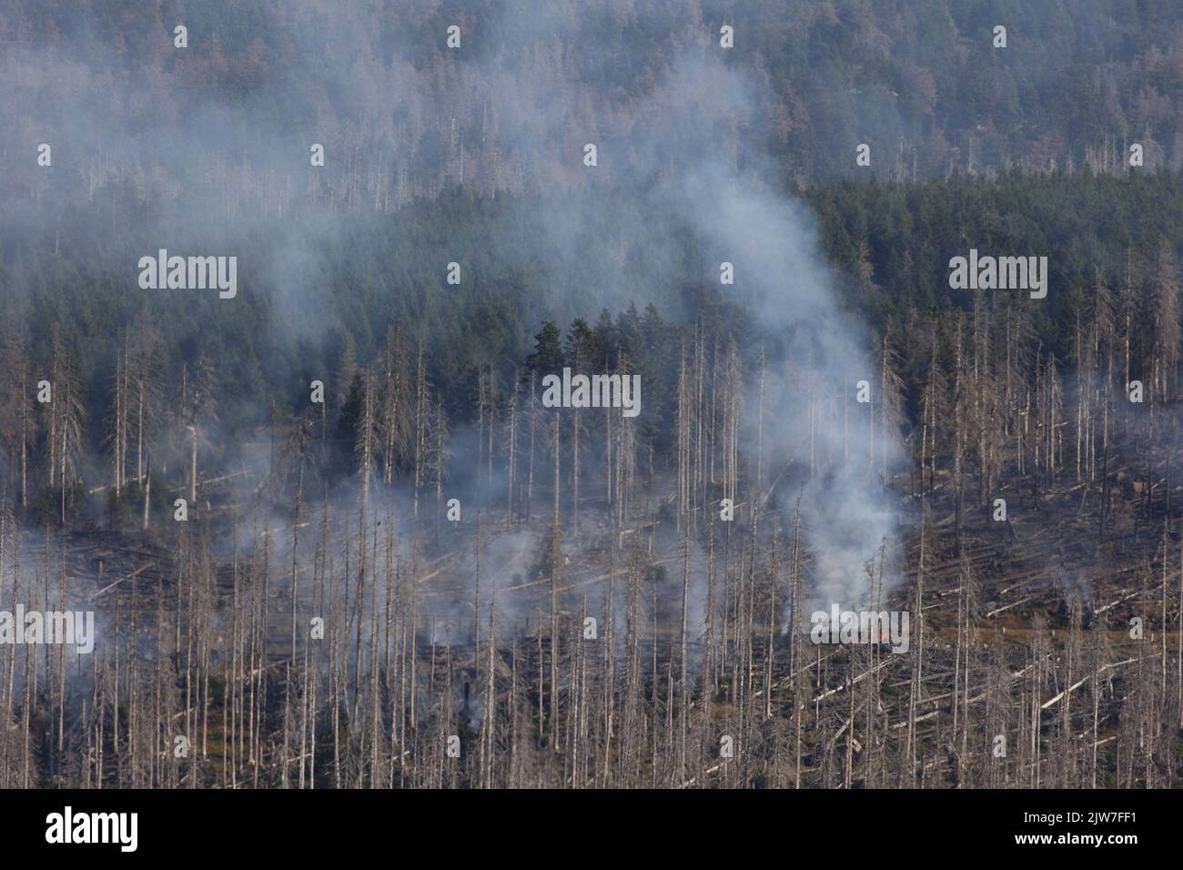 Schierke, Germany. 04th Sep, 2022. Firefighting helicopters are used to ...