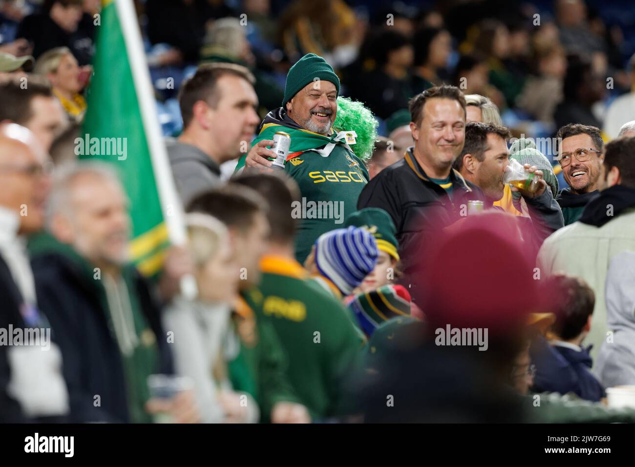 Springboks rugby hi-res stock photography and images - Alamy