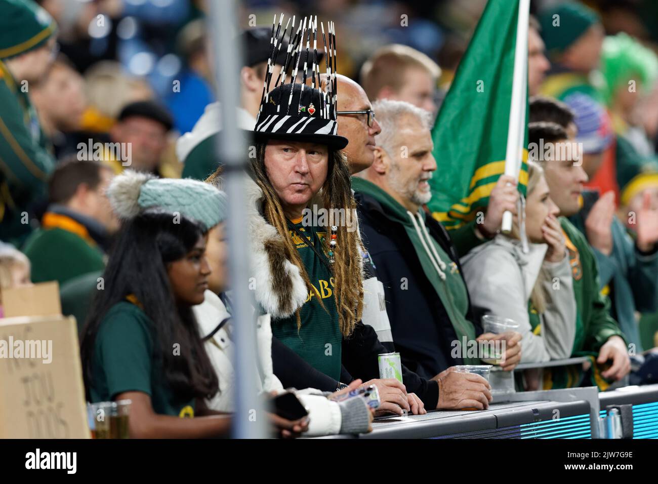 Springboks rugby team hi-res stock photography and images - Alamy