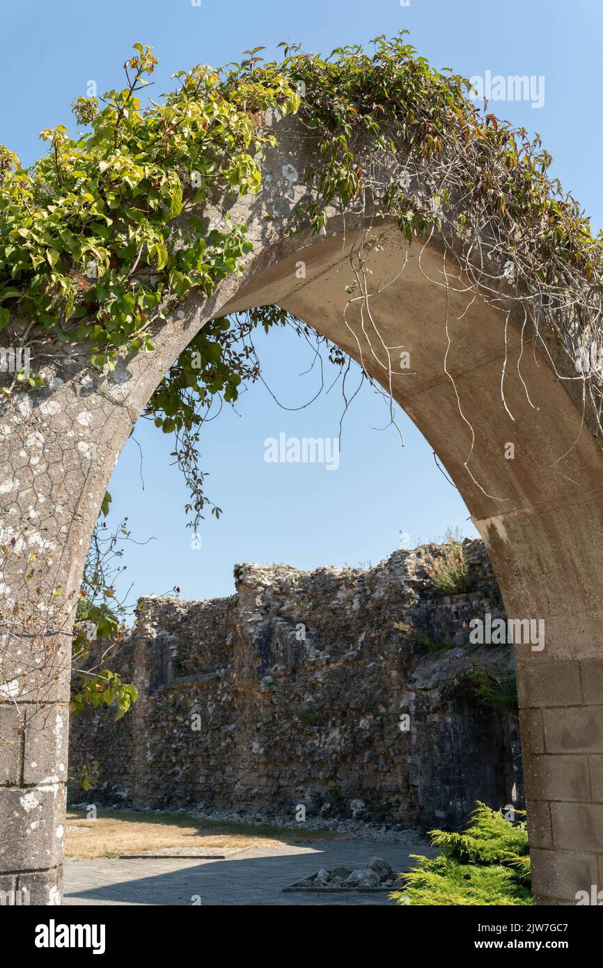 Ancient stone archway covered with ivy at historic castle ruins in ...