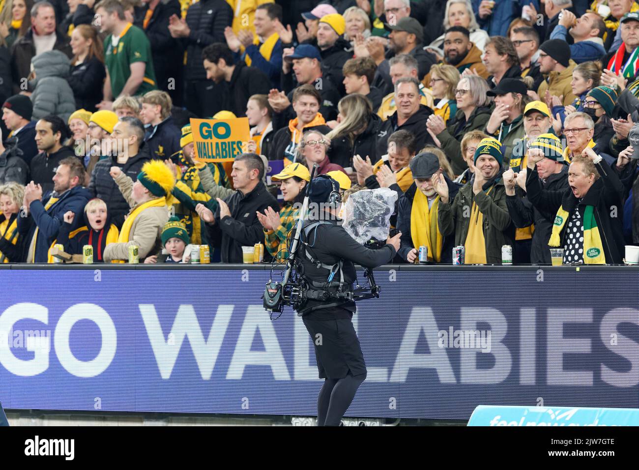 SYDNEY, AUSTRALIA - SEPTEMBER 3: Wallabies fans celebrate during The ...