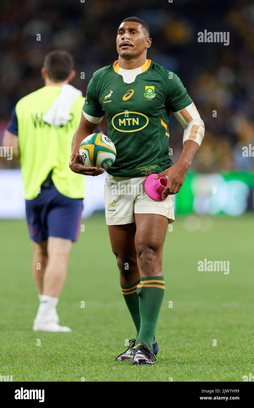 Damien willemse hi-res stock photography and images - Alamy