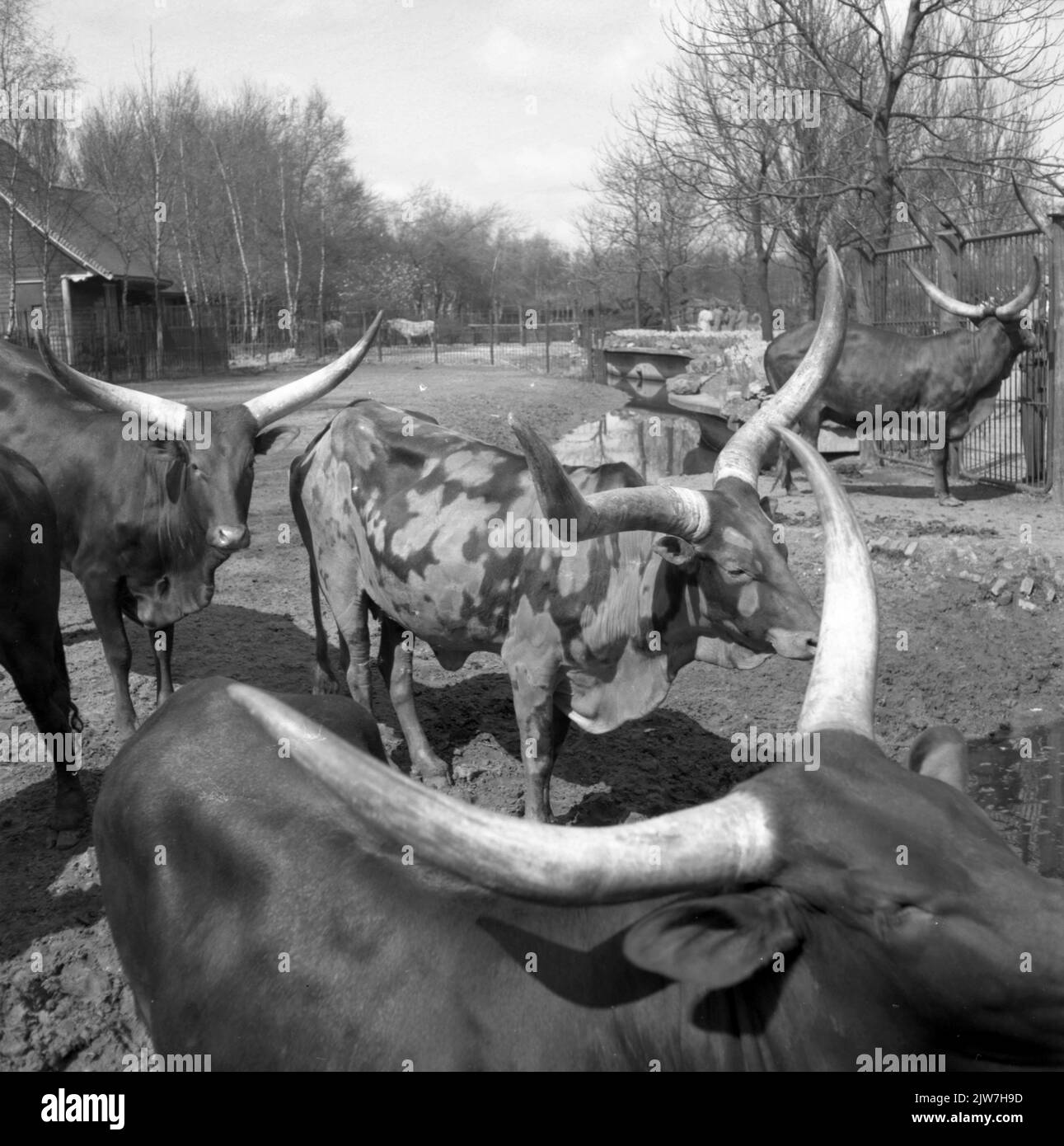 Image of a man falling asleep in a diesel-electrical train set the 4 ...