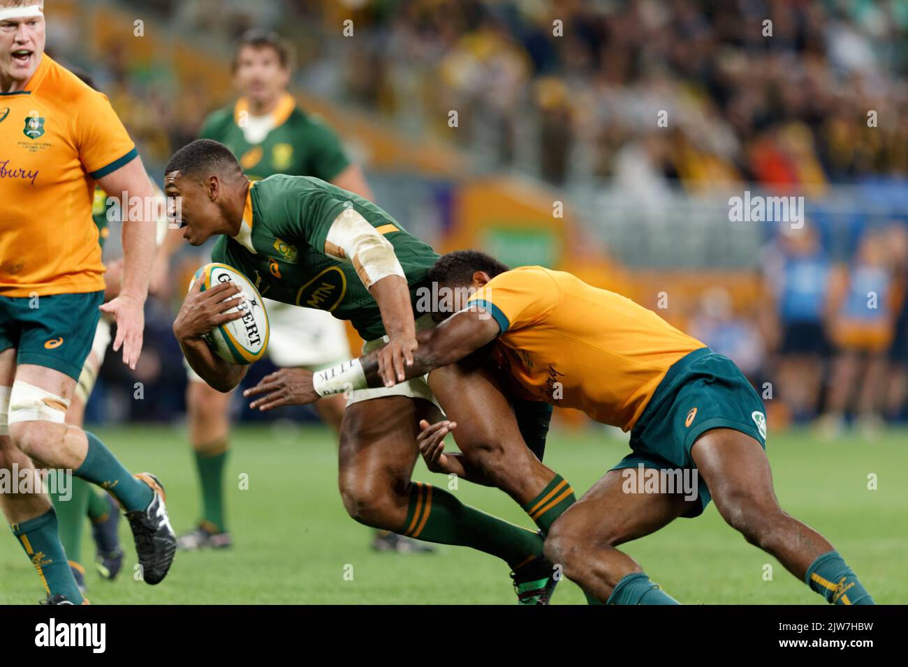 Willemse south africa hi-res stock photography and images - Alamy