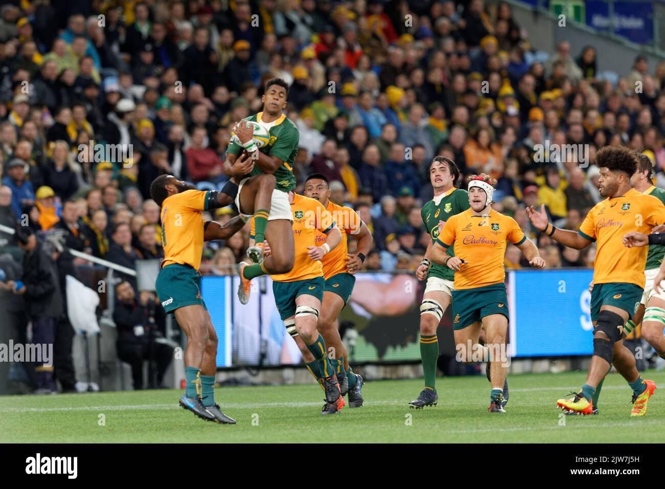 Canan moodie australia hi-res stock photography and images - Alamy