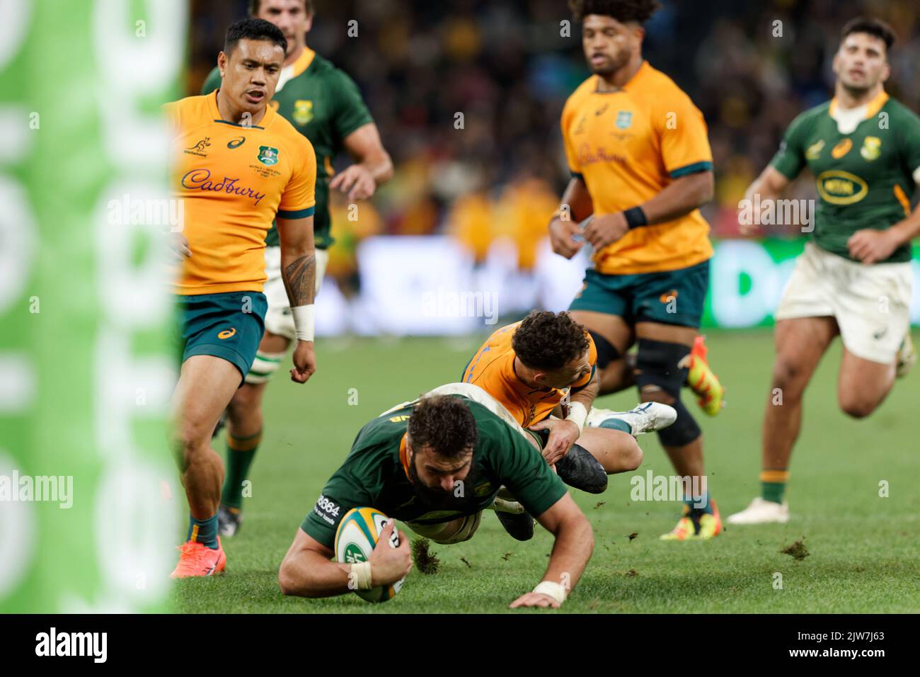 Nic white south africa hi-res stock photography and images - Alamy