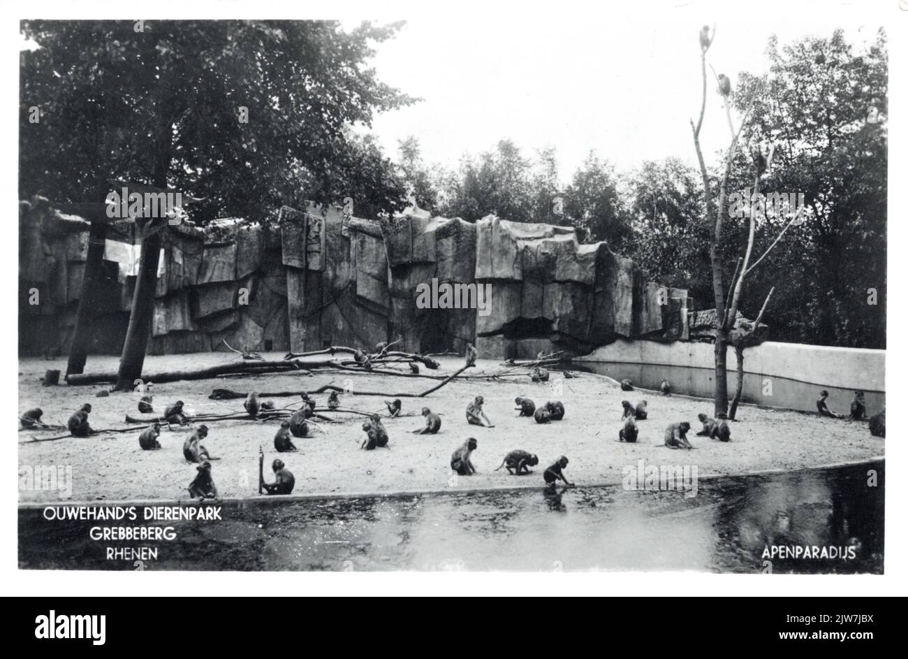 Ouwehands hi-res stock photography and images - Alamy