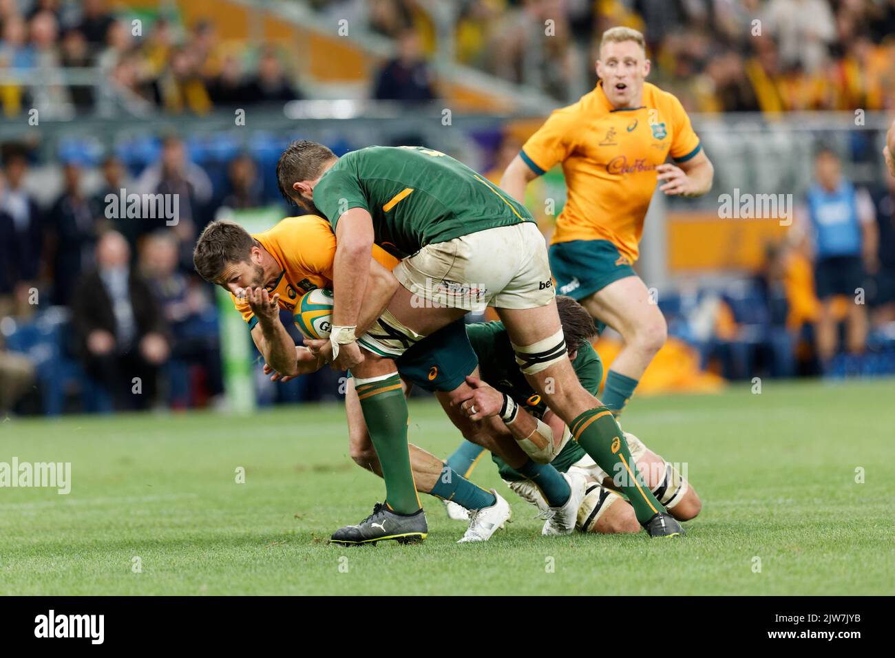 Franco mostert rugby south africa hi-res stock photography and images ...