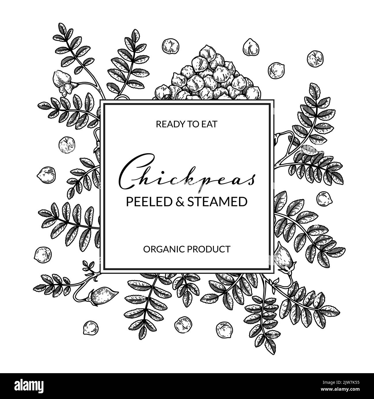 Hand drawn chickpeas botany frame. Vector illustration in sketch style ...