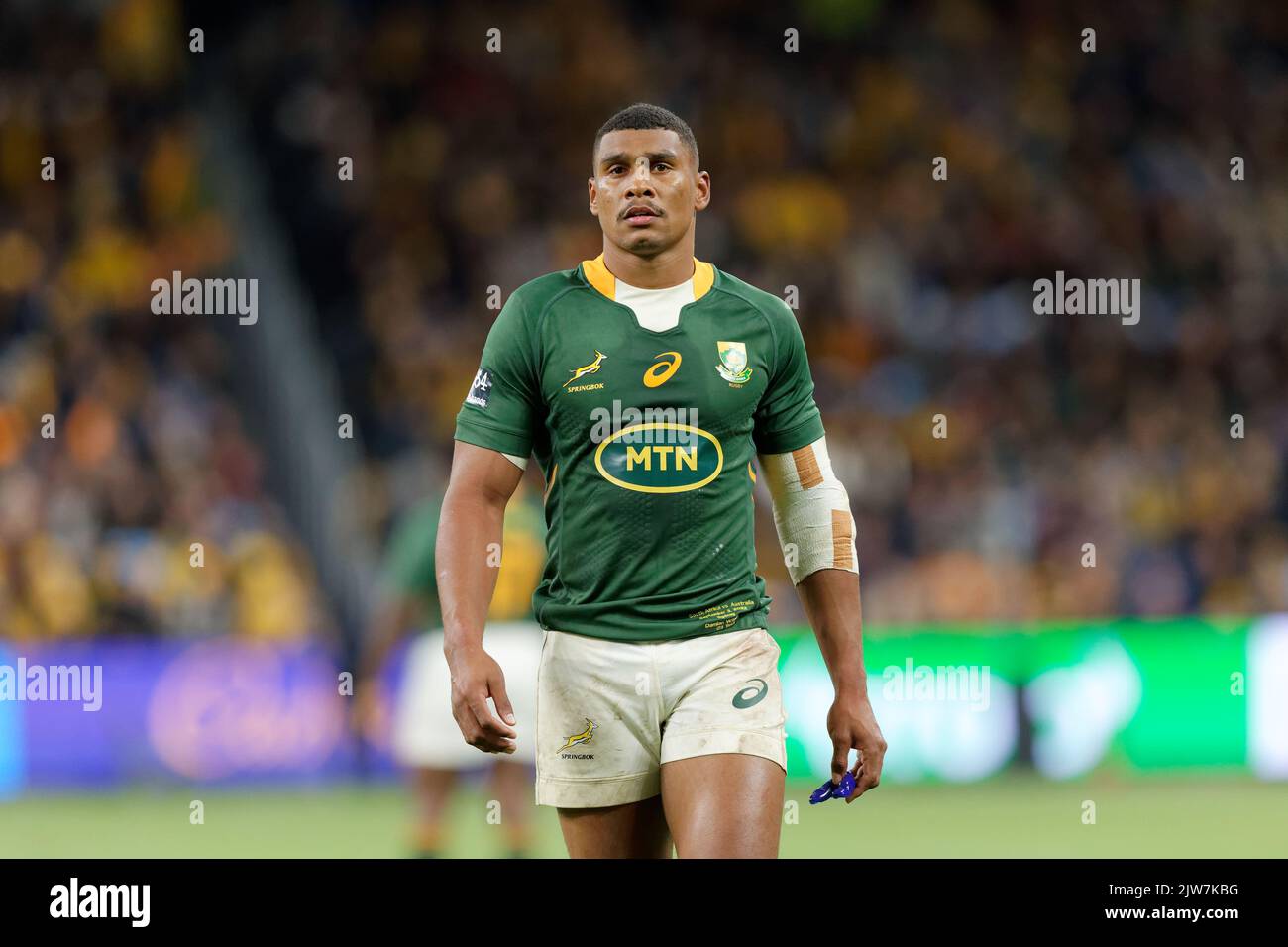 SYDNEY, AUSTRALIA - SEPTEMBER 3: Damien Willemse of South Africa looks ...
