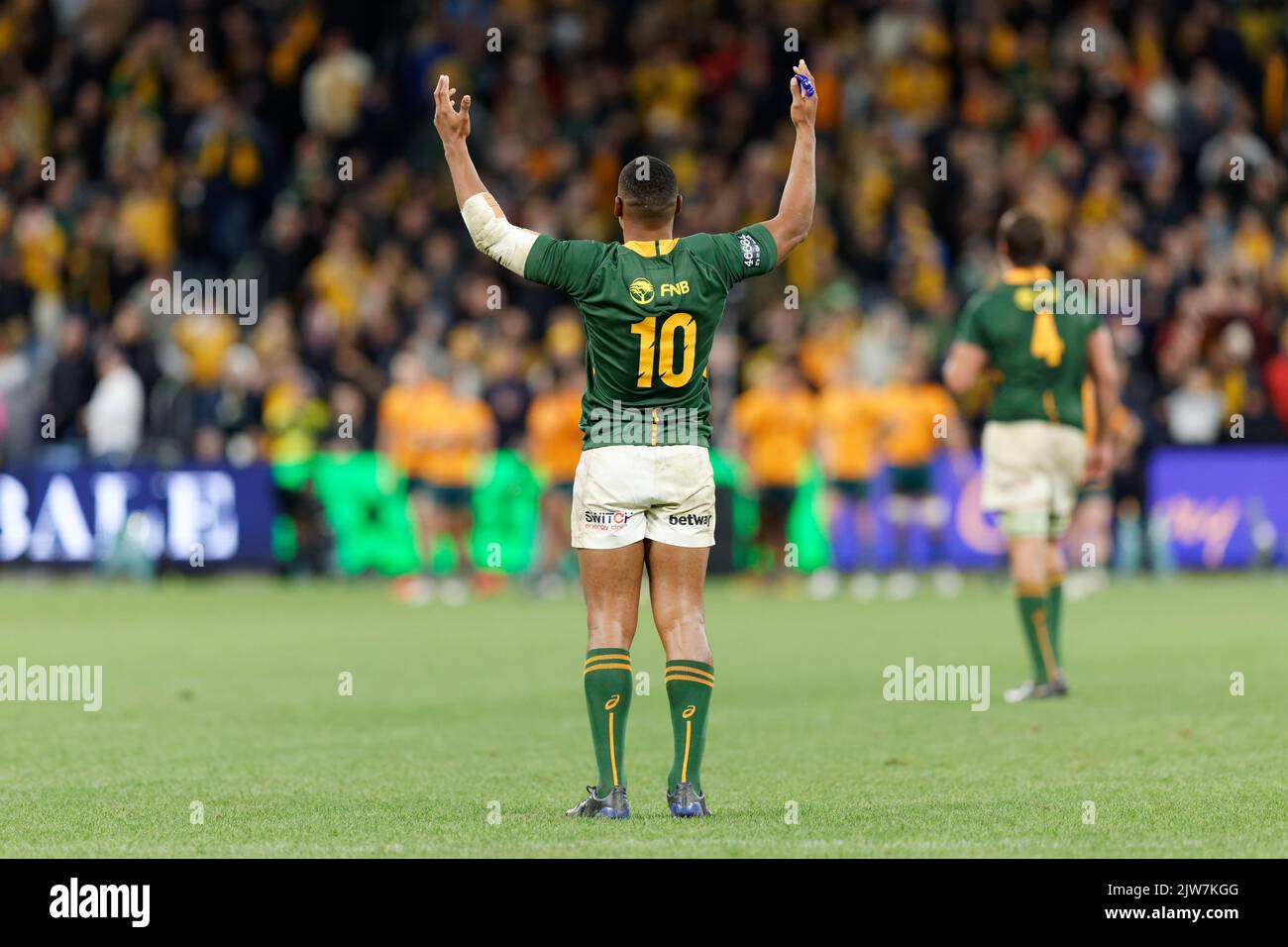 Damien willemse hi-res stock photography and images - Alamy