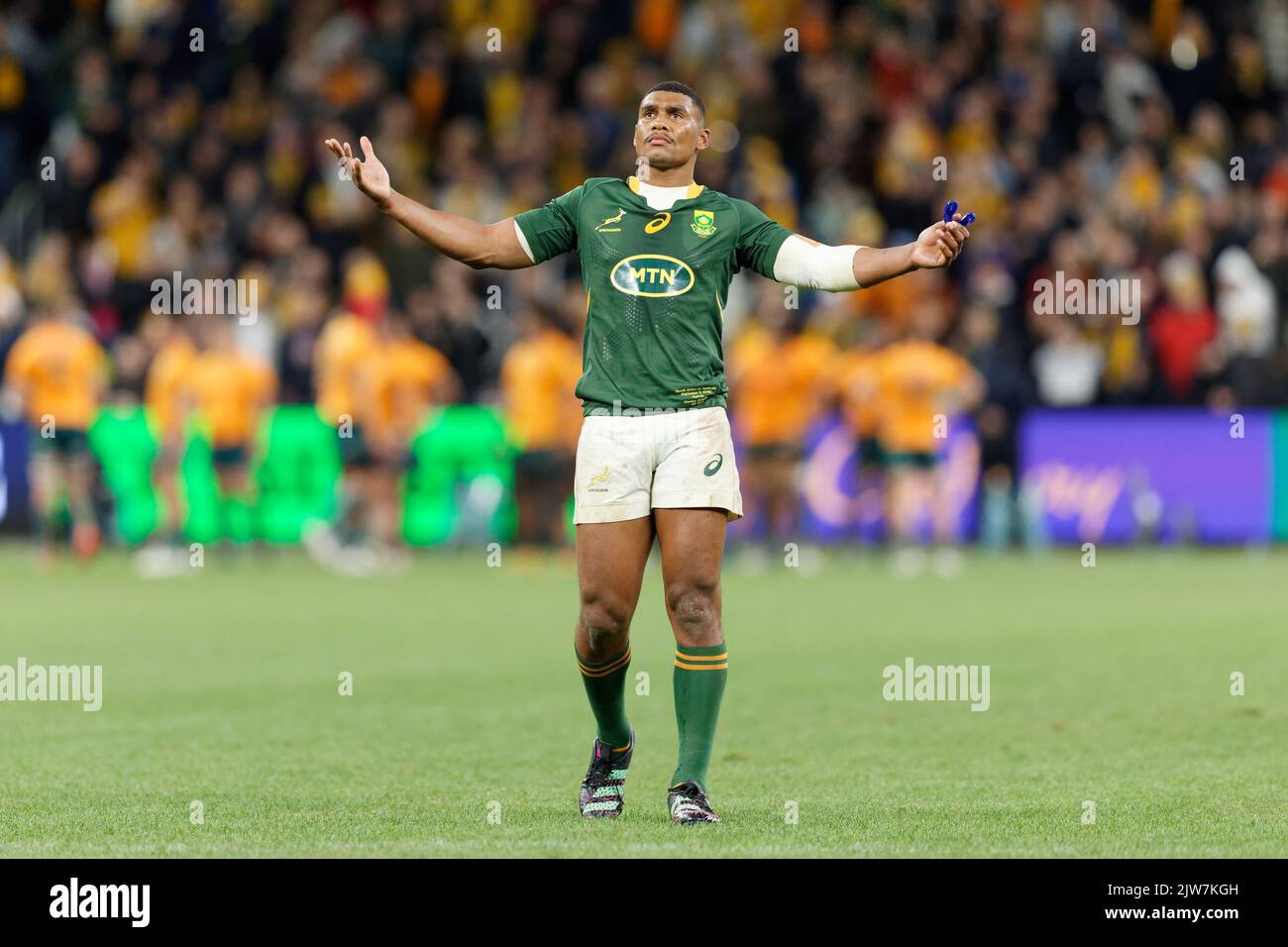 Damien willemse hi-res stock photography and images - Alamy