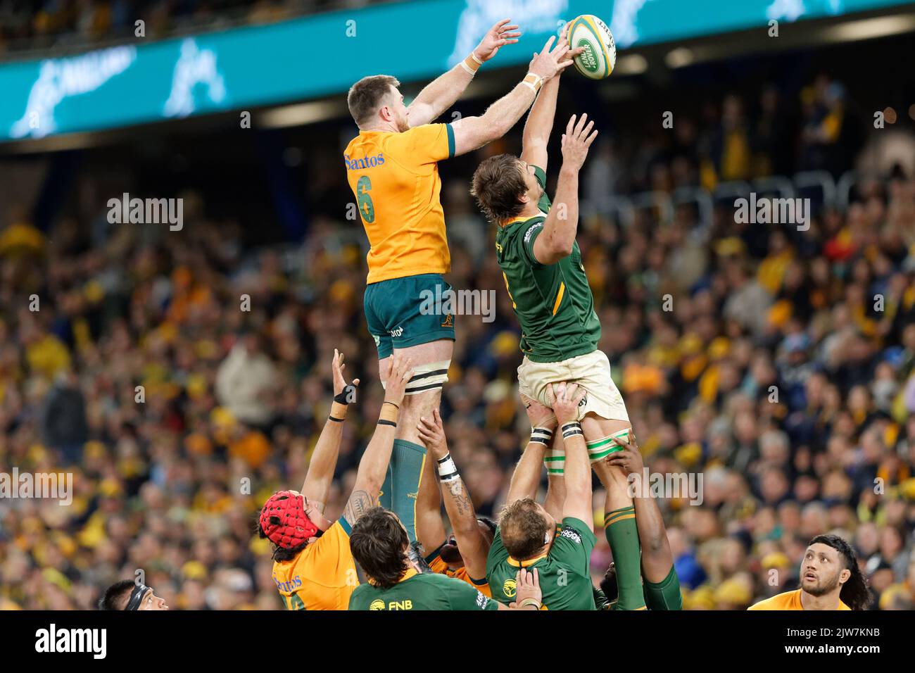 SYDNEY, AUSTRALIA - SEPTEMBER 3: Eben Etzebeth of South Africa wins the ...