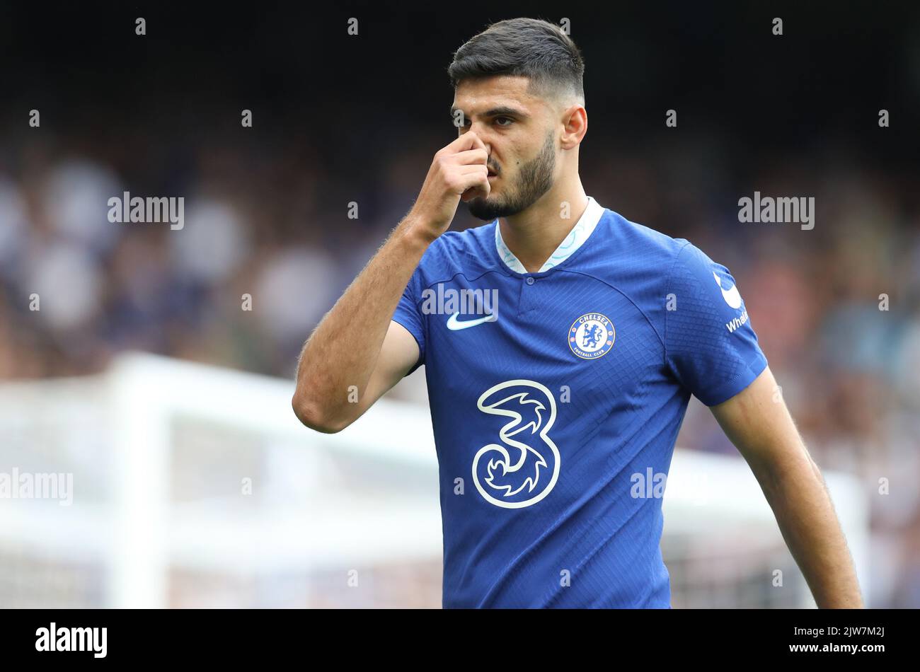 Armando broja september 2022 hi-res stock photography and images - Alamy