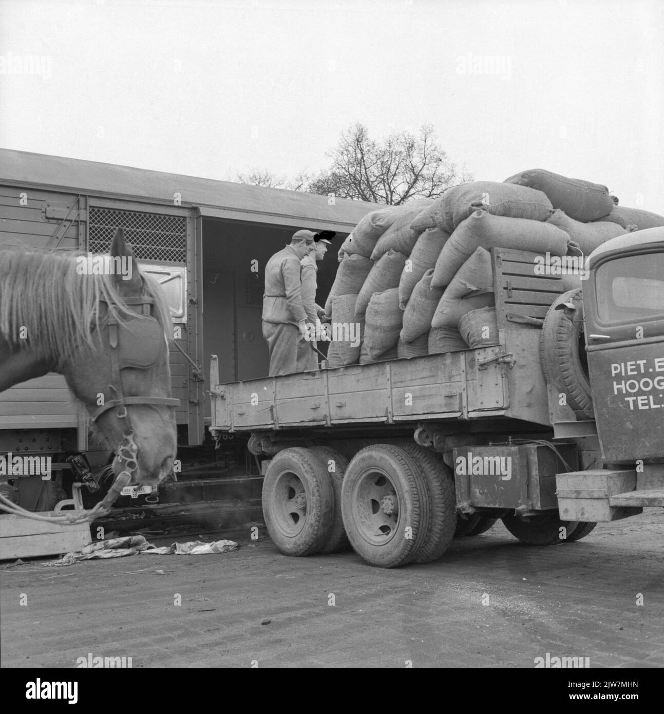 Image of overloading bags grain from truck to freight wagons from the N ...