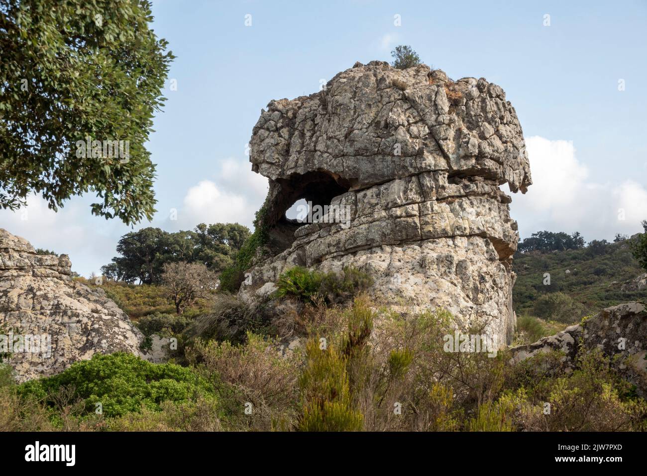 Scenery. Alcornocales Natural Park. View of the rock called La Montera ...