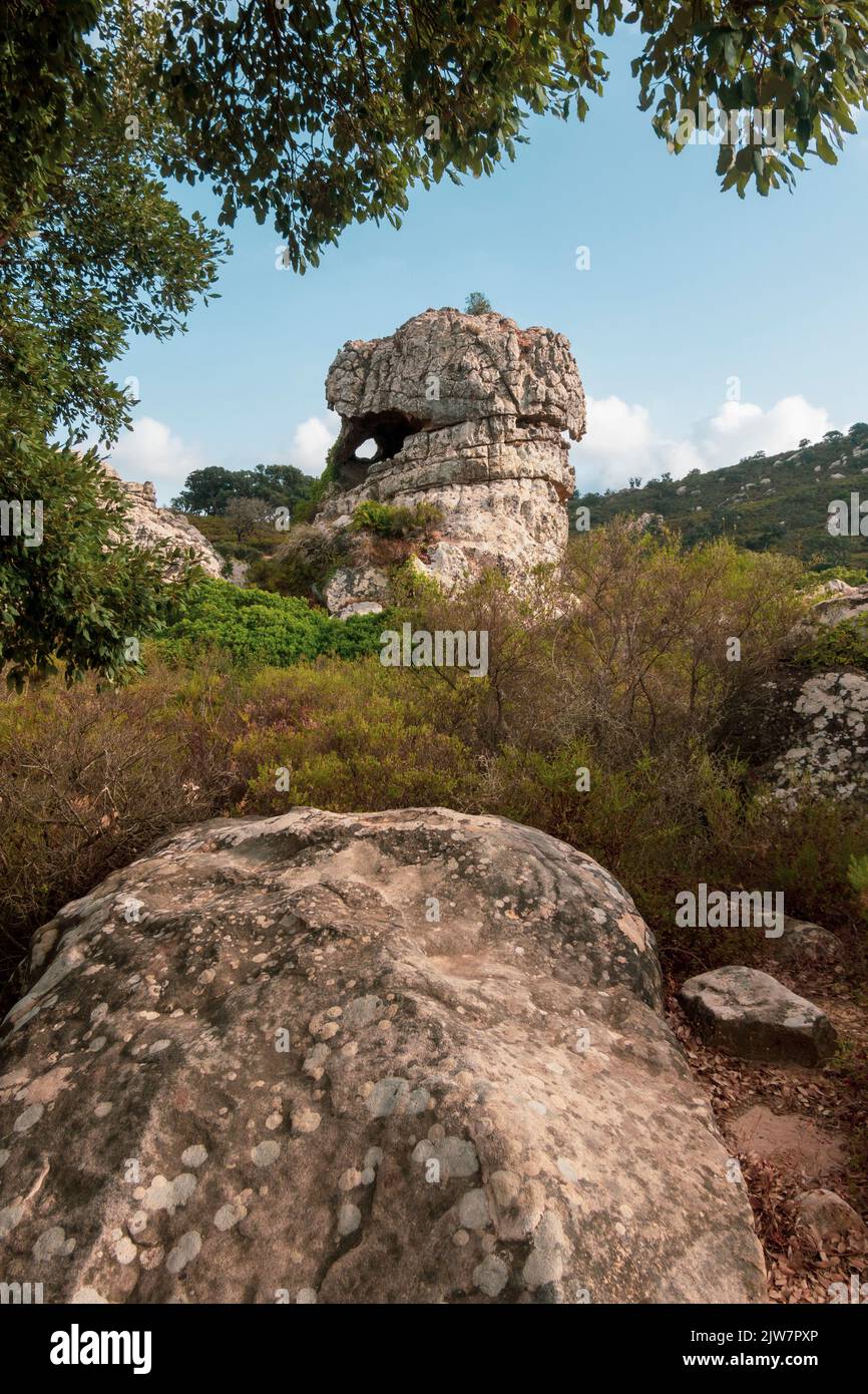 Scenery. Alcornocales Natural Park. View of the rock called La Montera ...