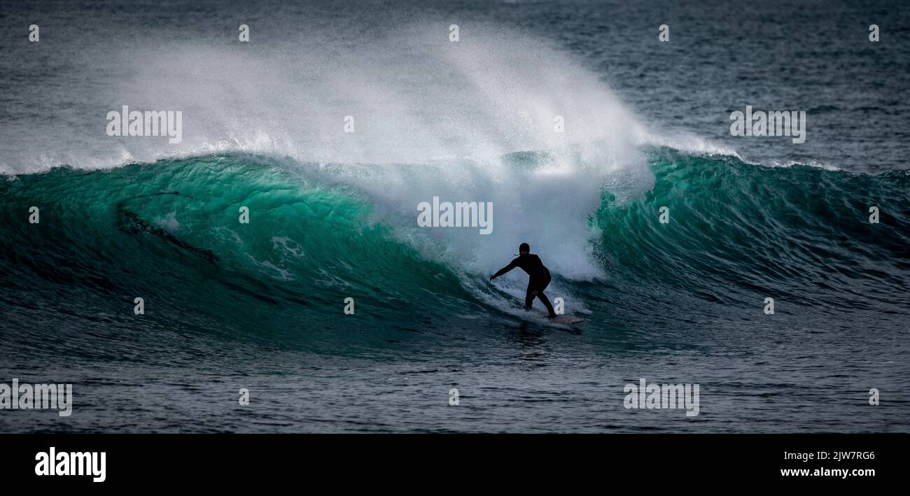 Surfers captured riding the best waves in Cornwall on Porthleven reef ...