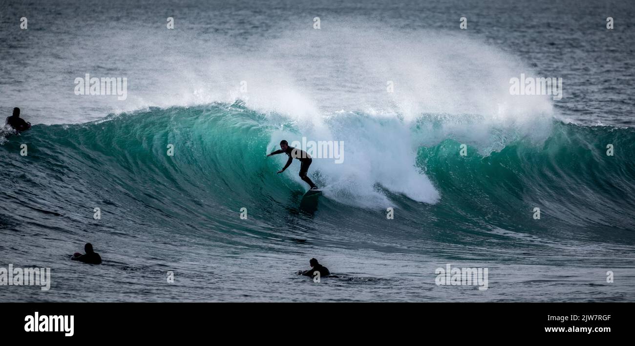 Surfers captured riding the best waves in Cornwall on Porthleven reef ...