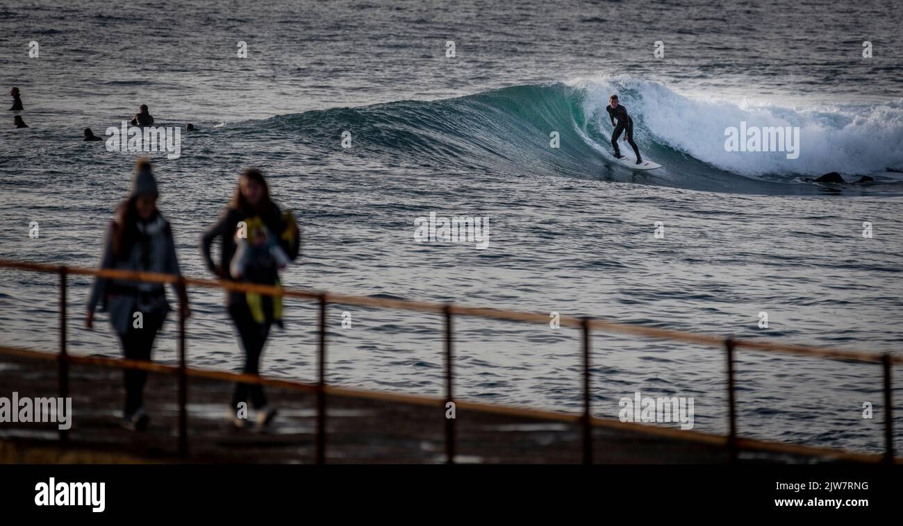 Surfers captured riding the best waves in Cornwall on Porthleven reef ...