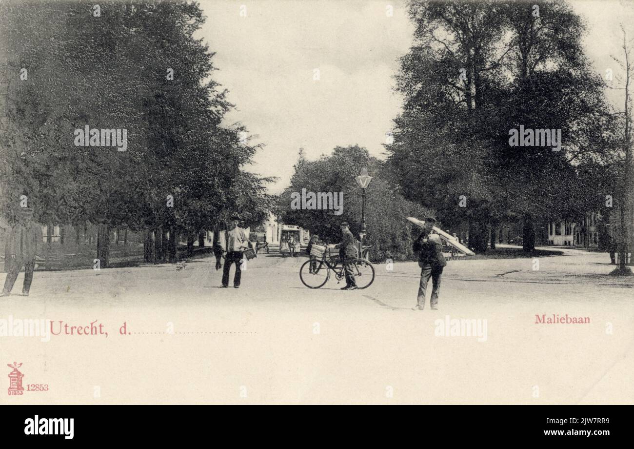 View in the Maliebaan in Utrecht Stock Photo - Alamy