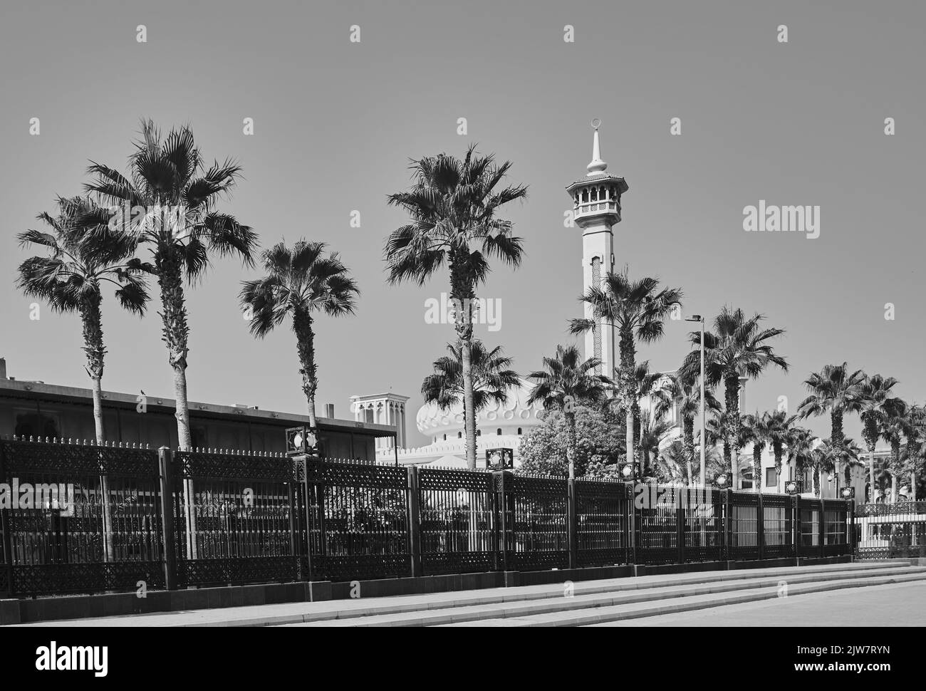 palm trees grow on the waterfront in Dubai United Arab Emirates Stock ...