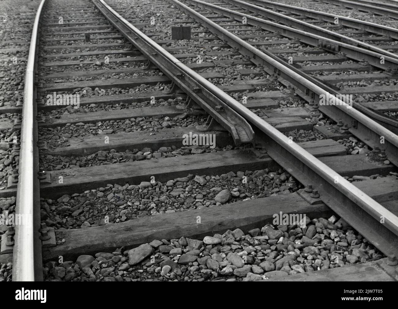 Image of a horizontal string rod on the inside of a bow on an yard in ...