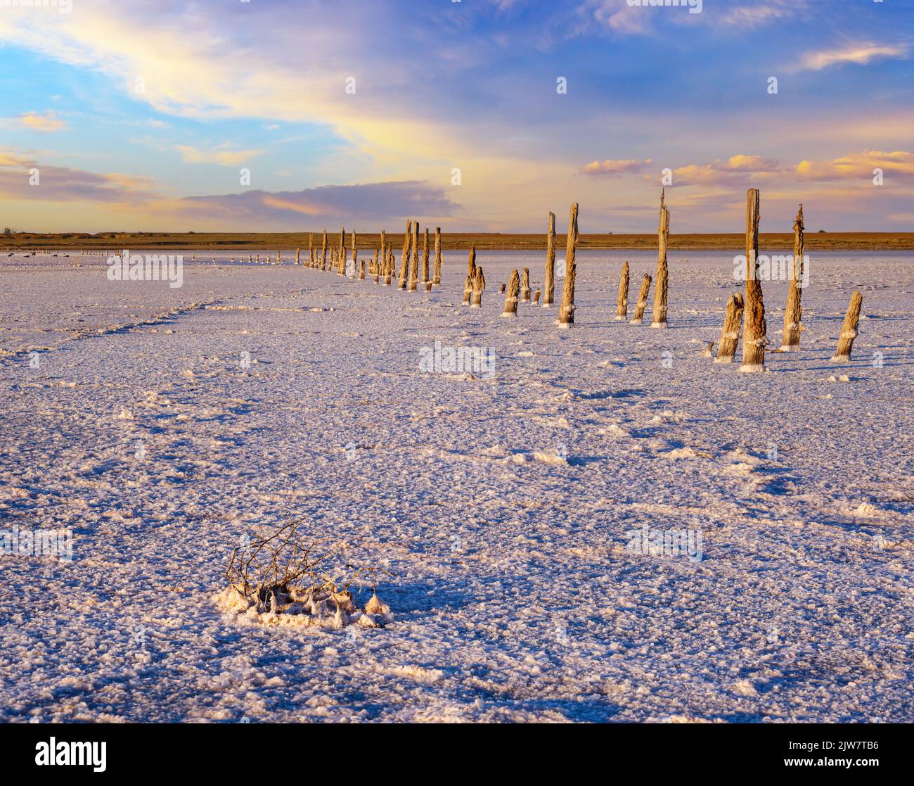 Sunset on the Genichesk pink extremely salty lake (colored by ...