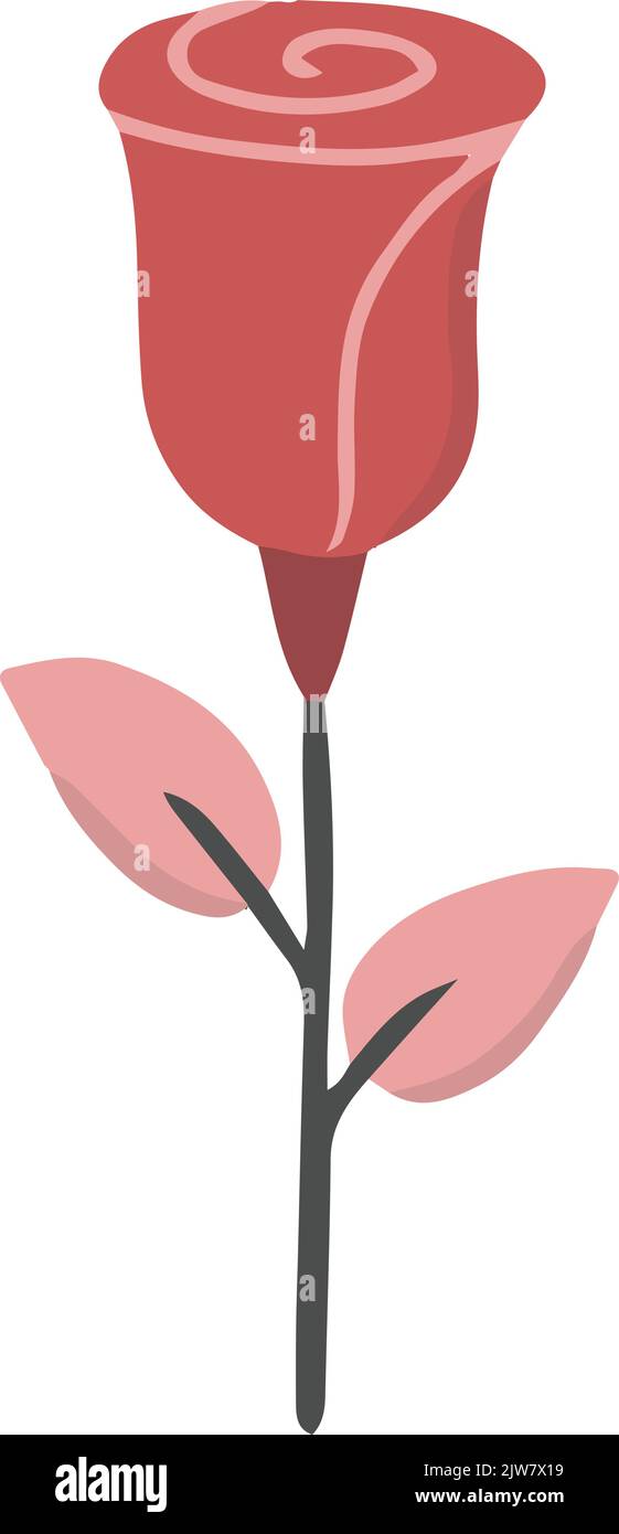 Hand Drawn lovely rose illustration isolated on background Stock Vector ...