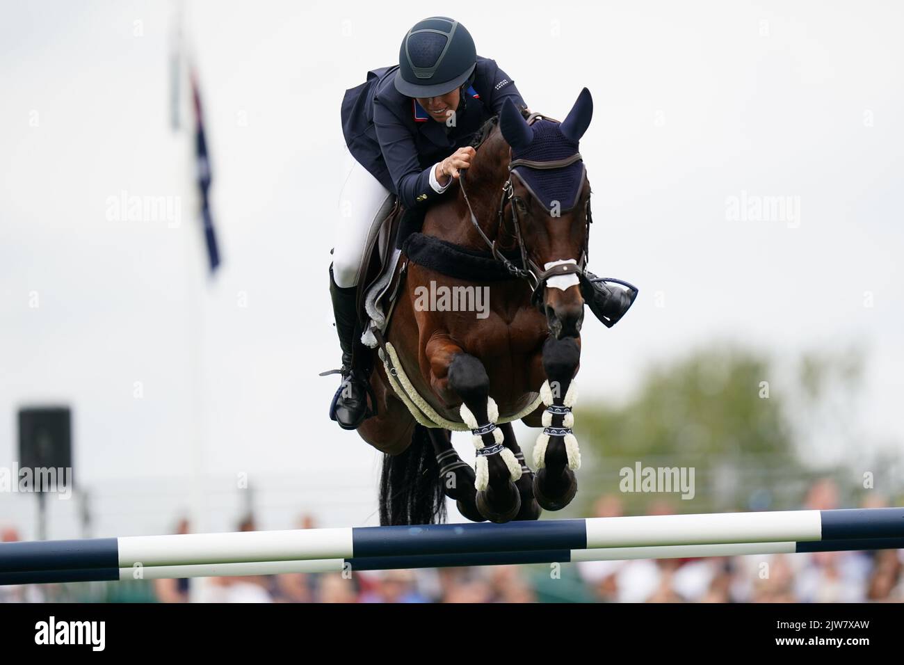 Horse palm crescent hi-res stock photography and images - Alamy