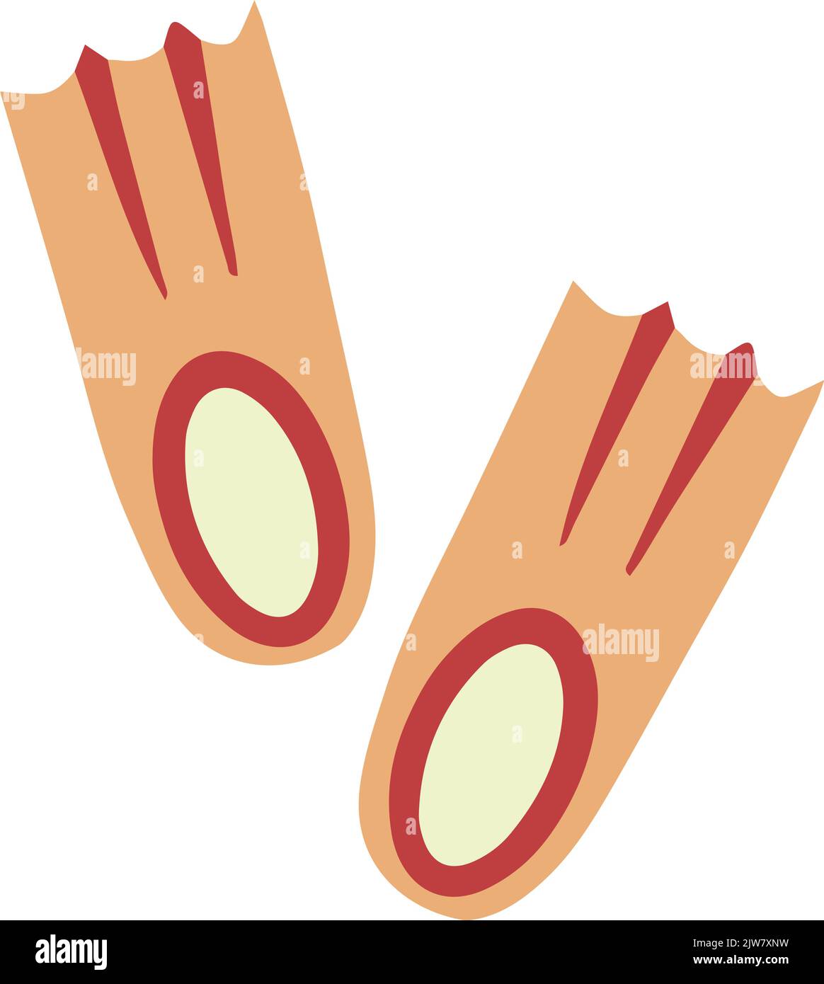 Hand Drawn flippers illustration isolated on background Stock Vector ...