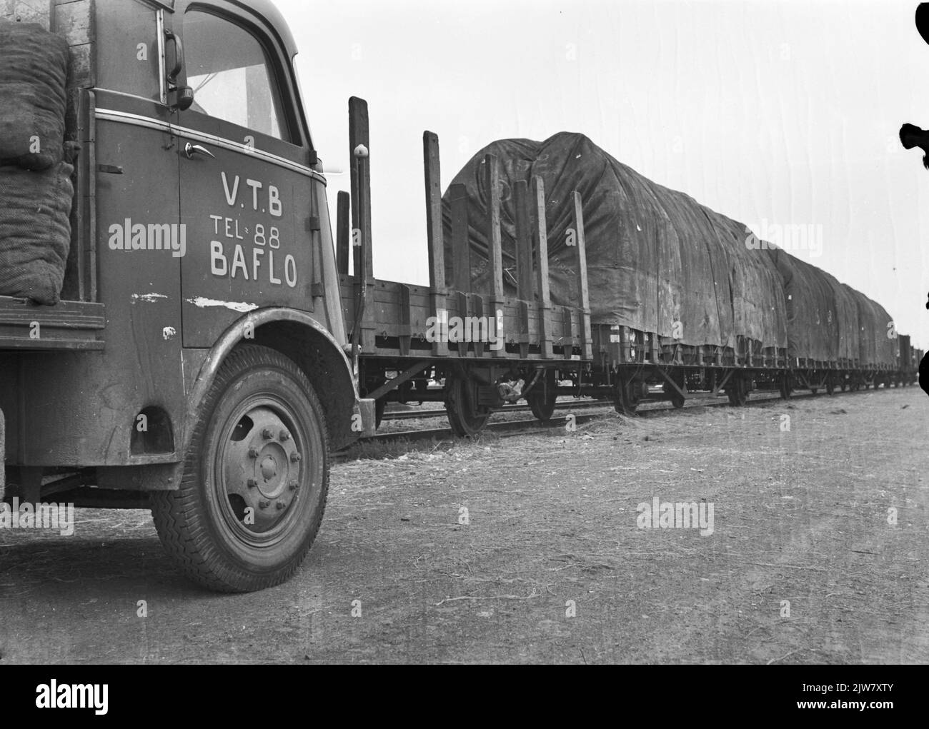 Image of freight wagons on the loading and unloading site of the N.S ...