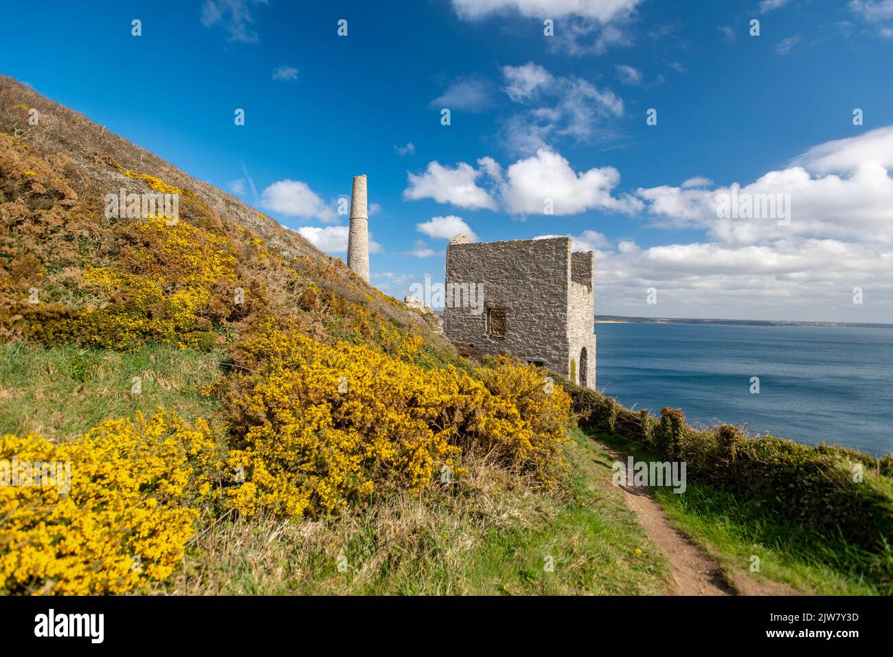 Out exploring the cliff paths around Trewavas mine while the bright ...