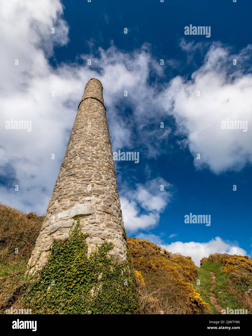 Out exploring the cliff paths around Trewavas mine while the bright ...