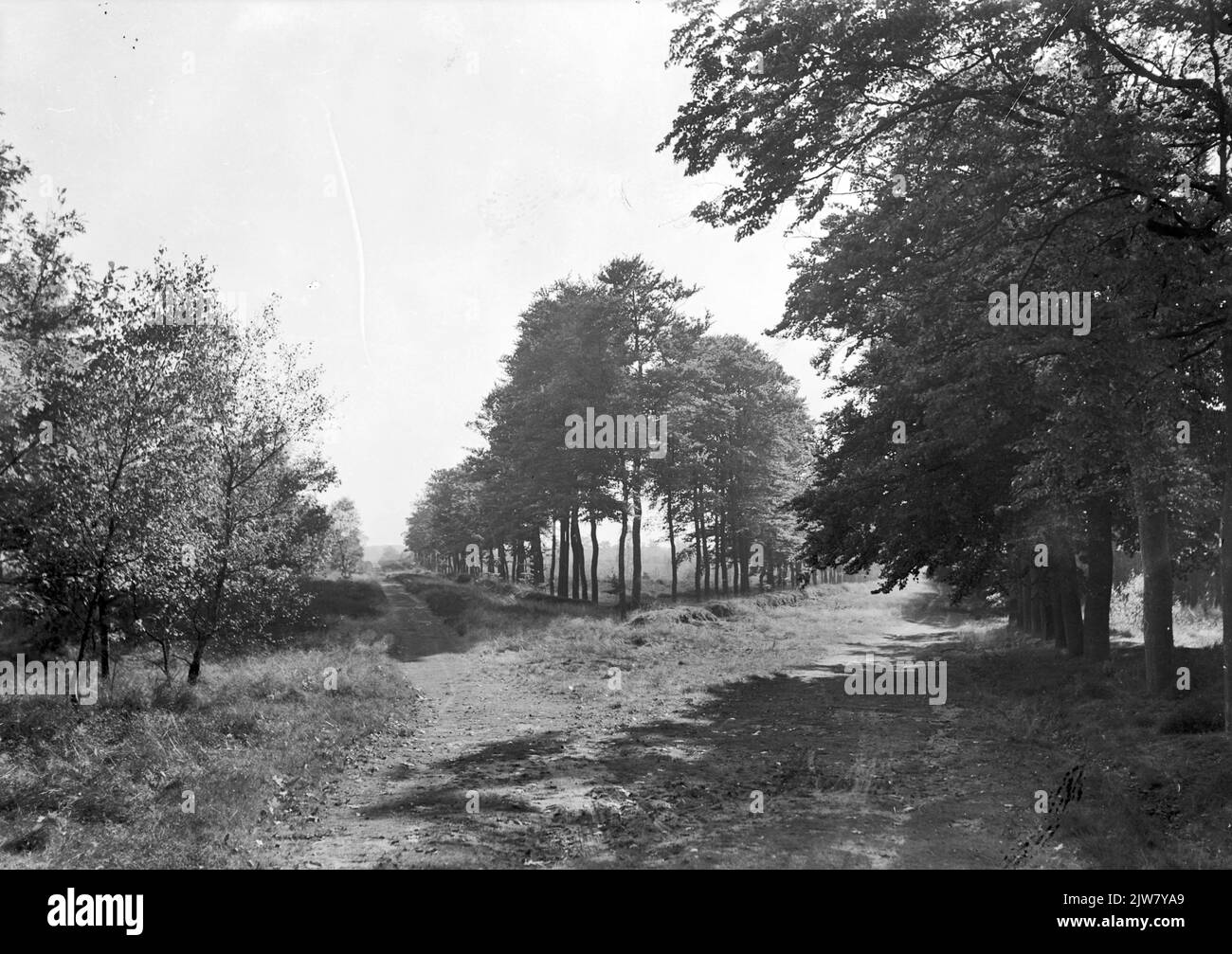 Prof. Dr. R. Magnus + / with Prof. dr. Dr. R. Magnus, / professor in ...