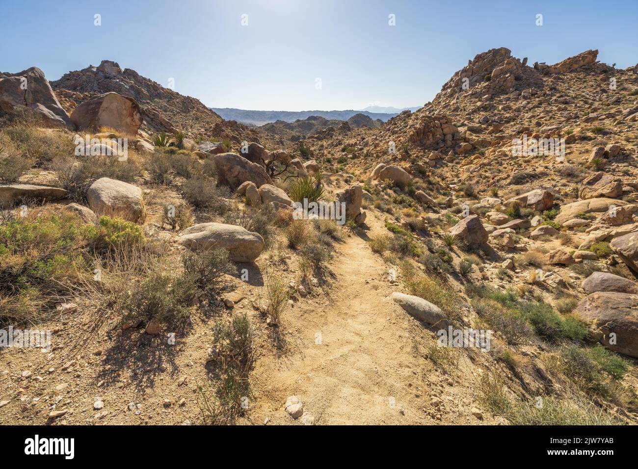 hiking maze loop trail in the joshua tree national park in the usa ...