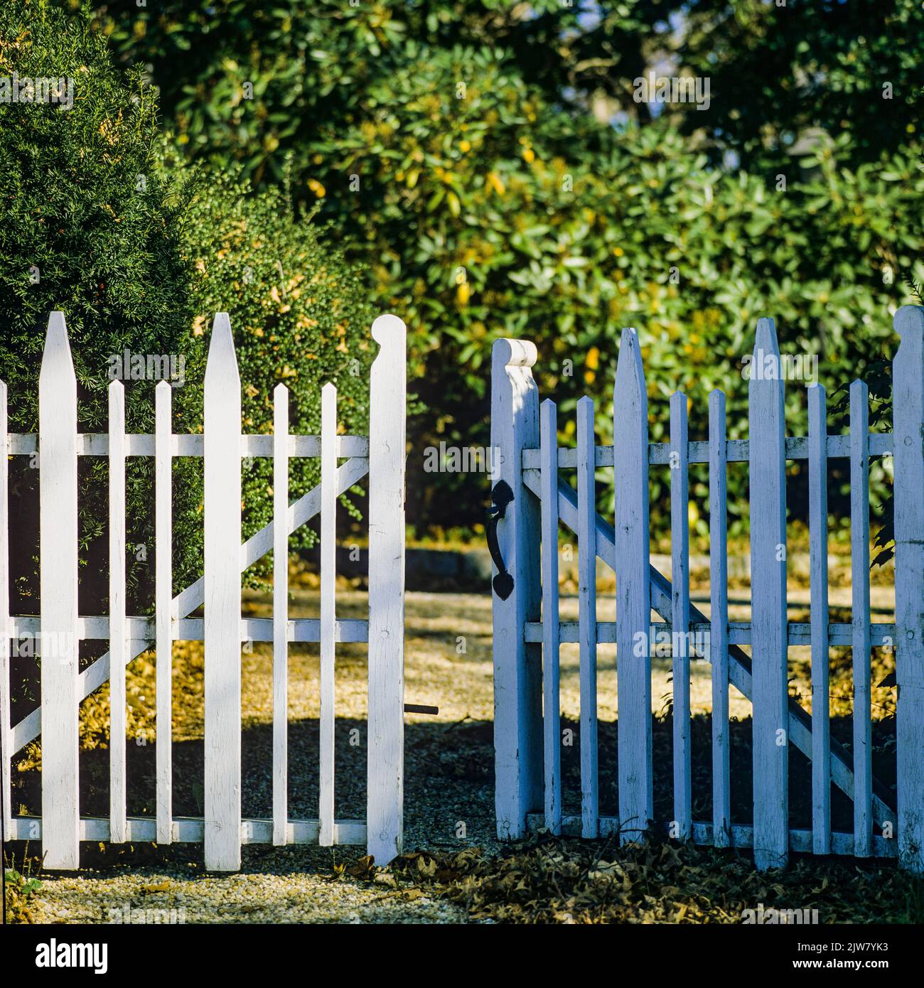 Half open white gate fence hi-res stock photography and images - Alamy