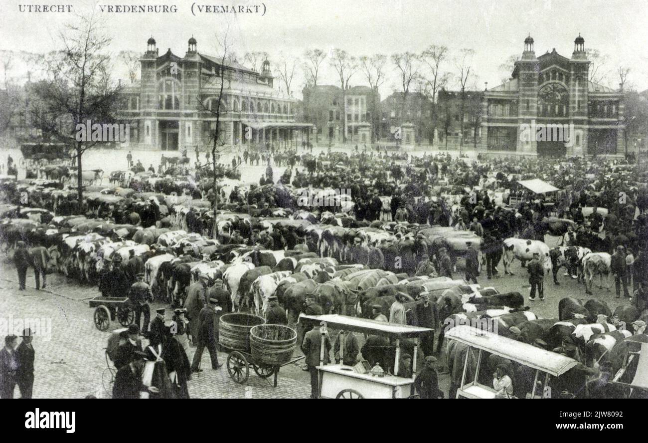 Vredenburg market hi-res stock photography and images - Alamy