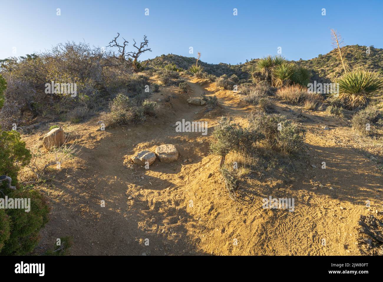 hiking the high view nature trail in black rock canyon, joshua tree ...