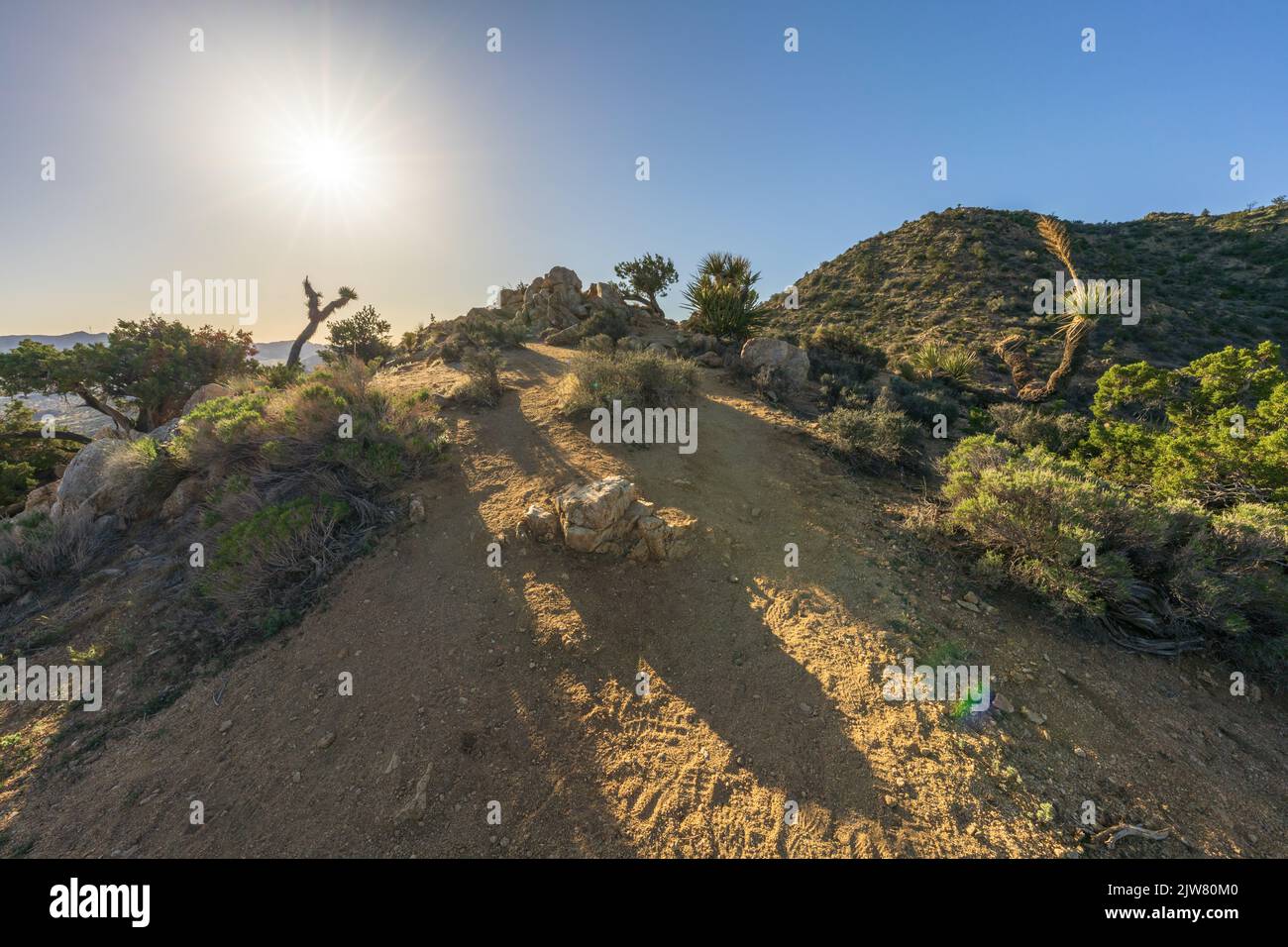 hiking the high view nature trail in black rock canyon, joshua tree ...