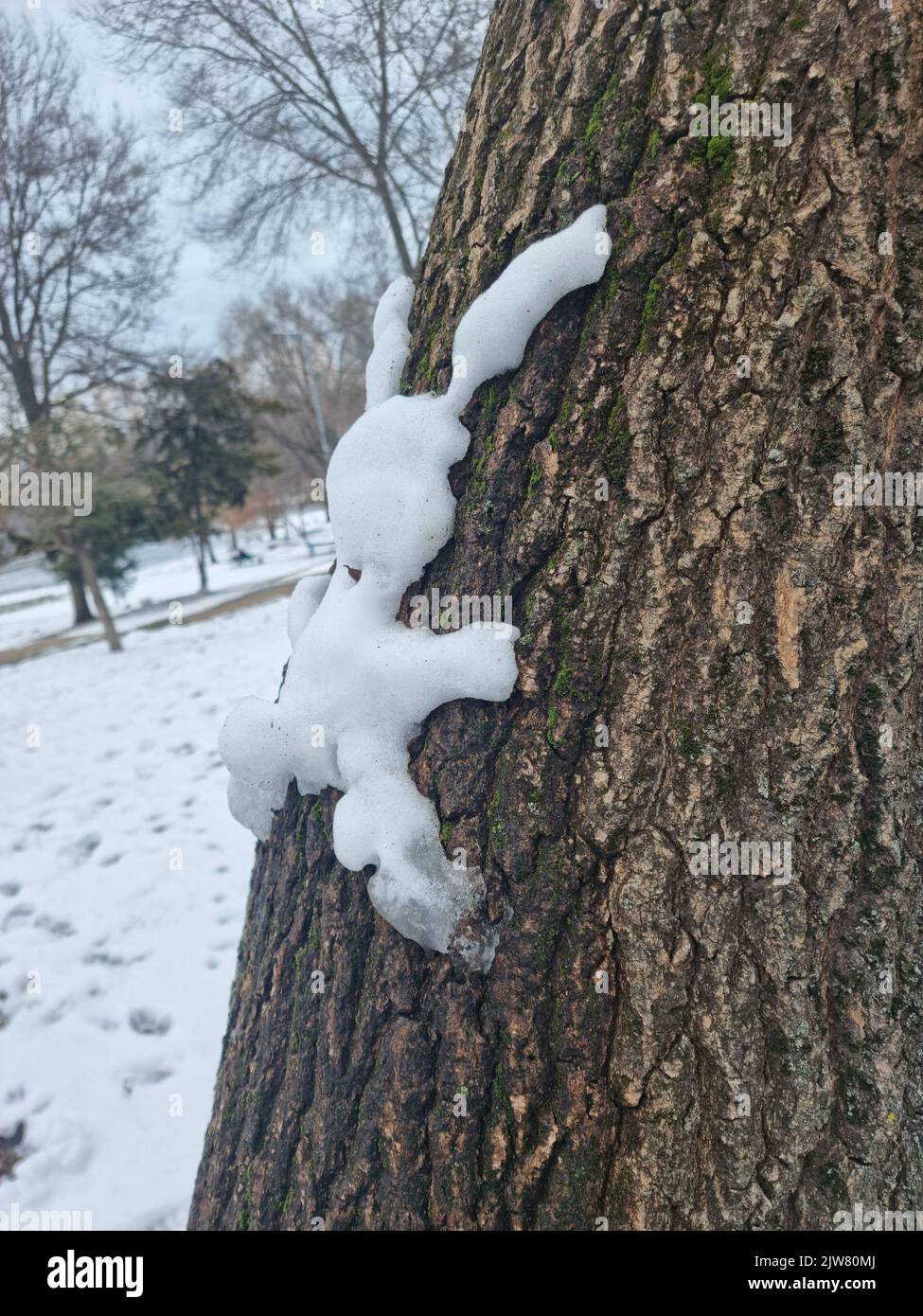 Snow rabbit on a tree trunk Winter Background Stock Photo - Alamy