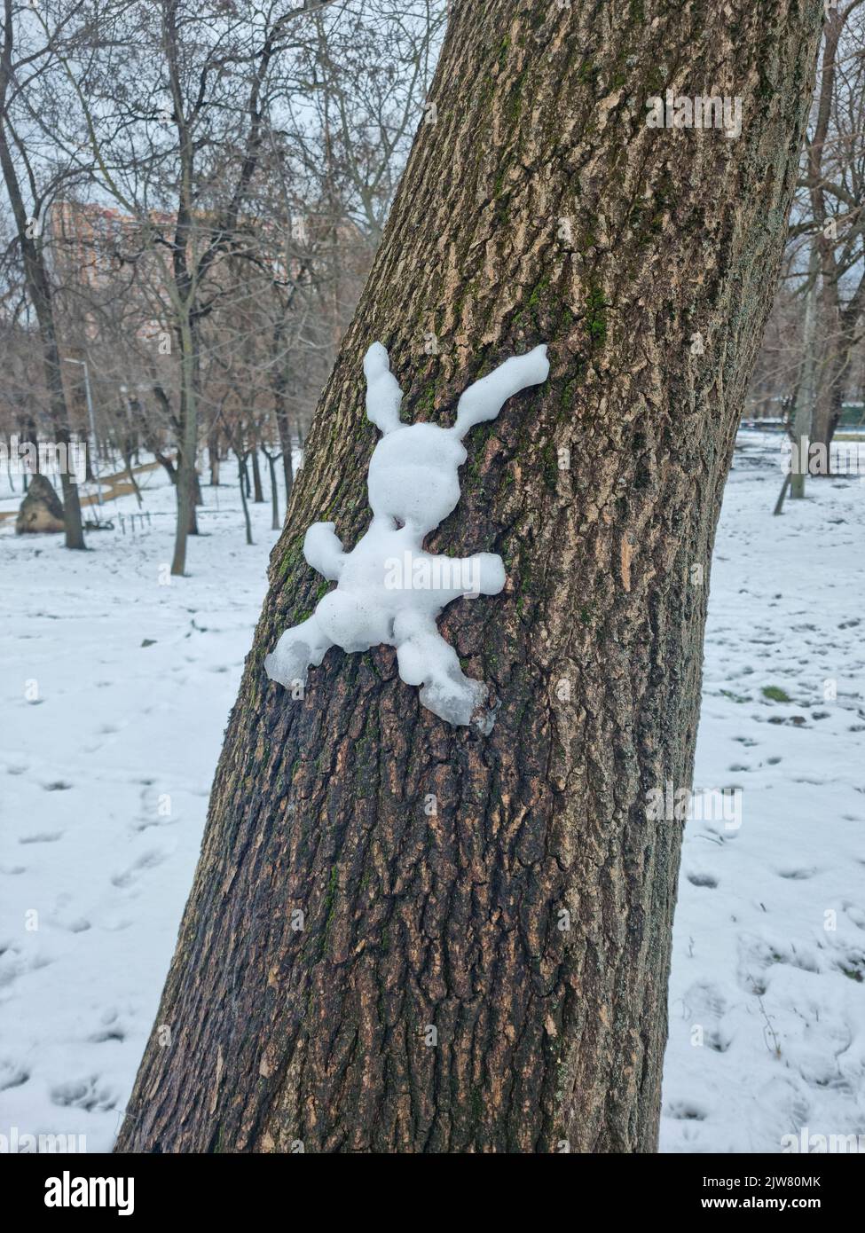 Frozen bunny hi-res stock photography and images - Alamy