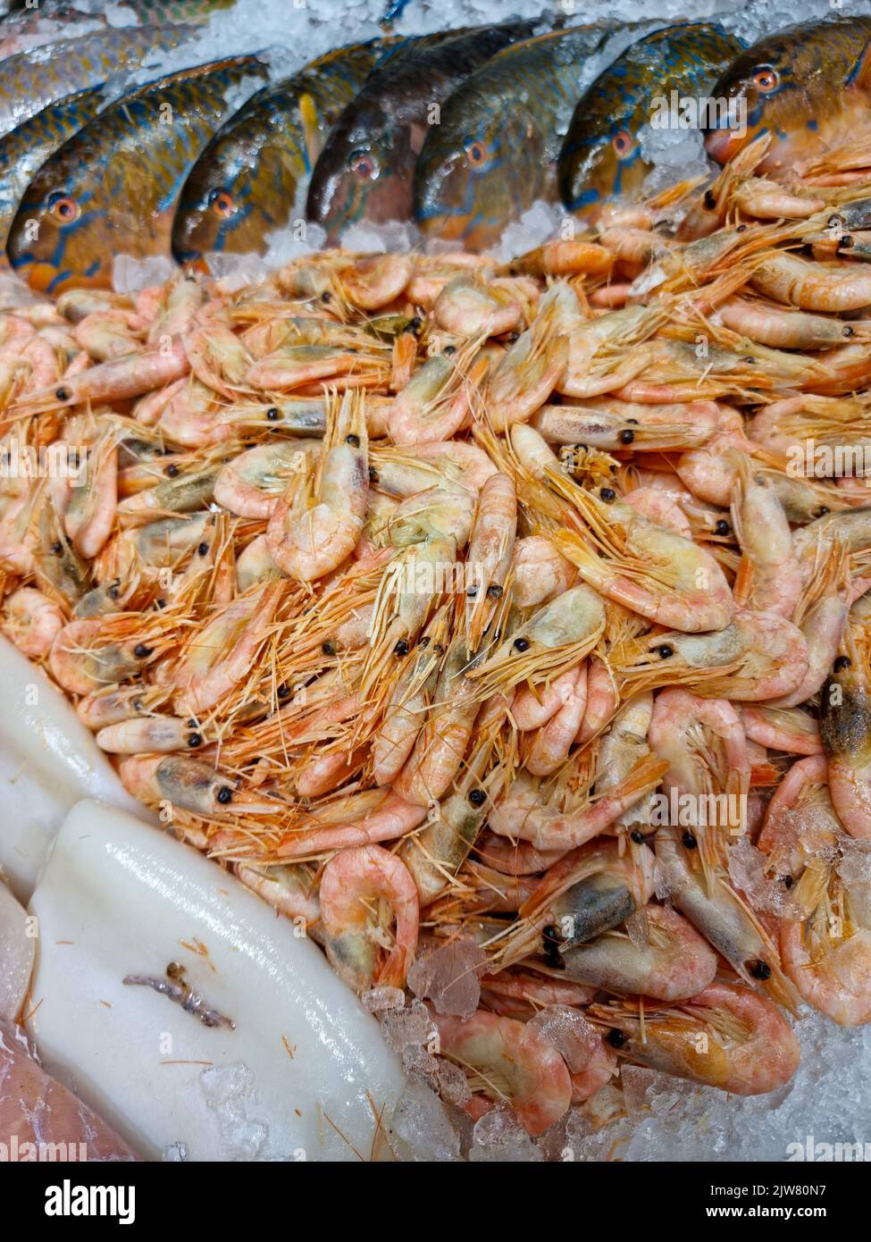 Fresh ocean fish and seafood at the fish market Close up Top view Stock ...