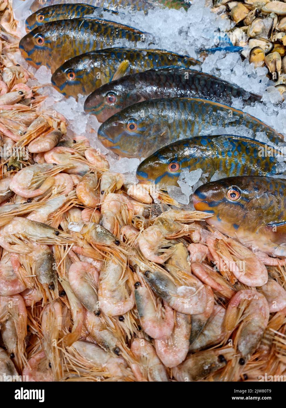 Fresh ocean fish and seafood at the fish market Close up Top view Stock ...