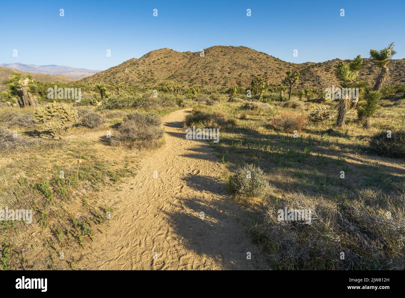 hiking the high view nature trail in black rock canyon, joshua tree ...
