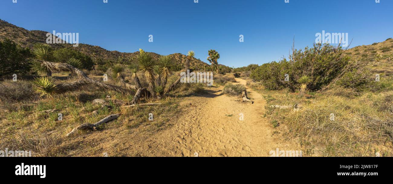 hiking the west side loop trail in black rock canyon, joshua tree ...
