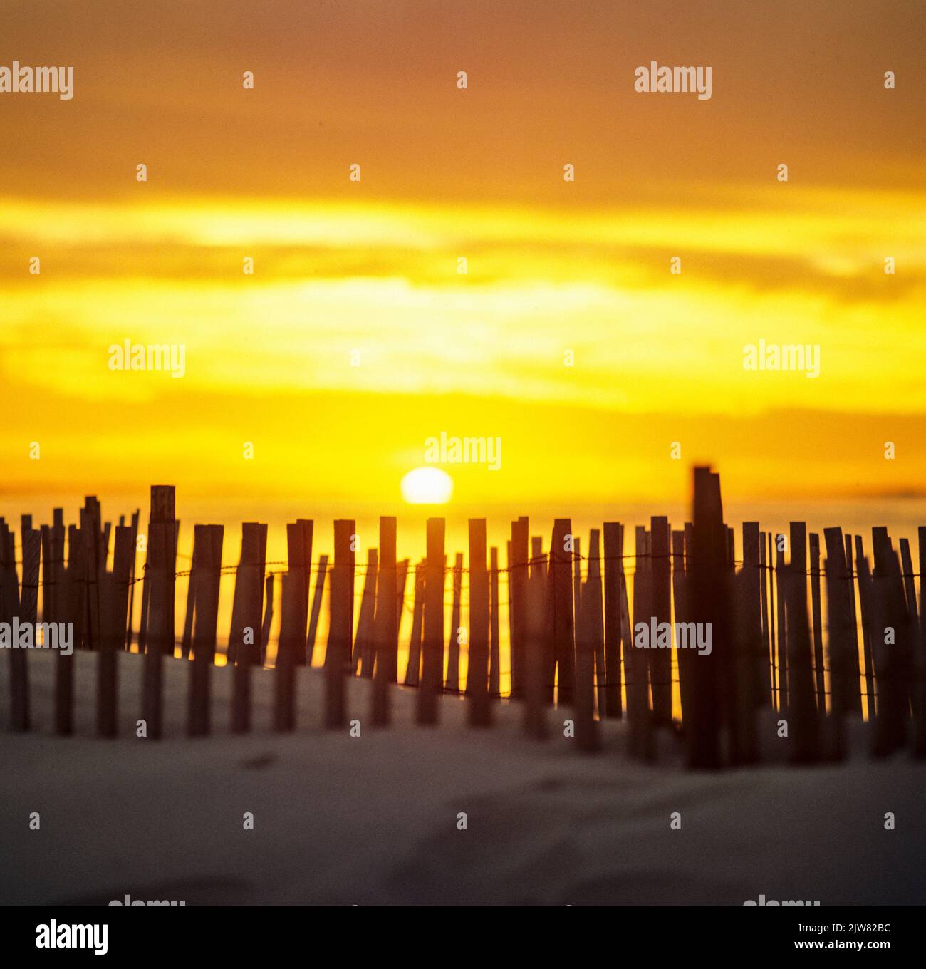 New York, 1980s, beach wooden picket fences, sunset, The Hamptons, Long ...
