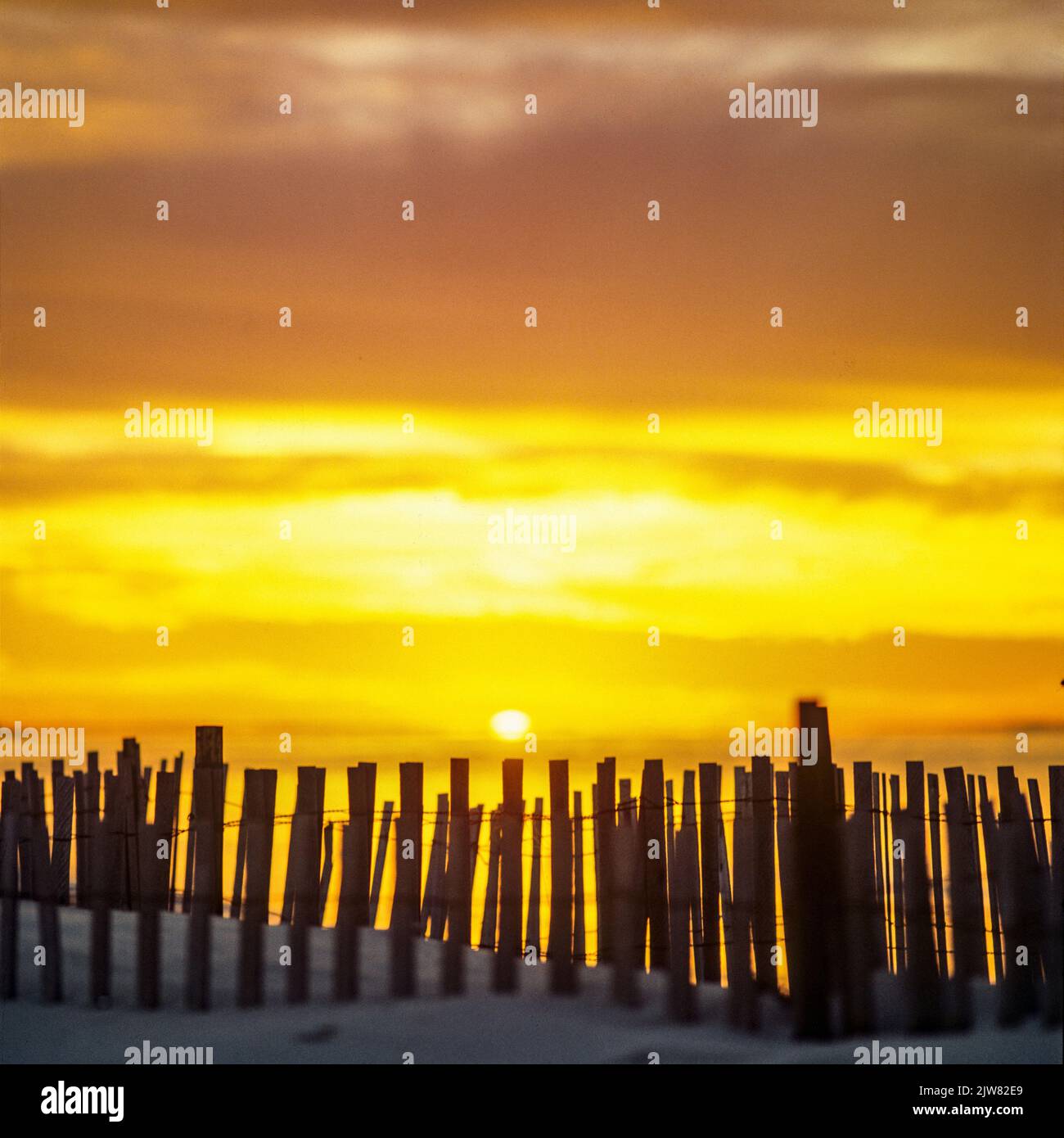 1980s beach hi-res stock photography and images - Alamy