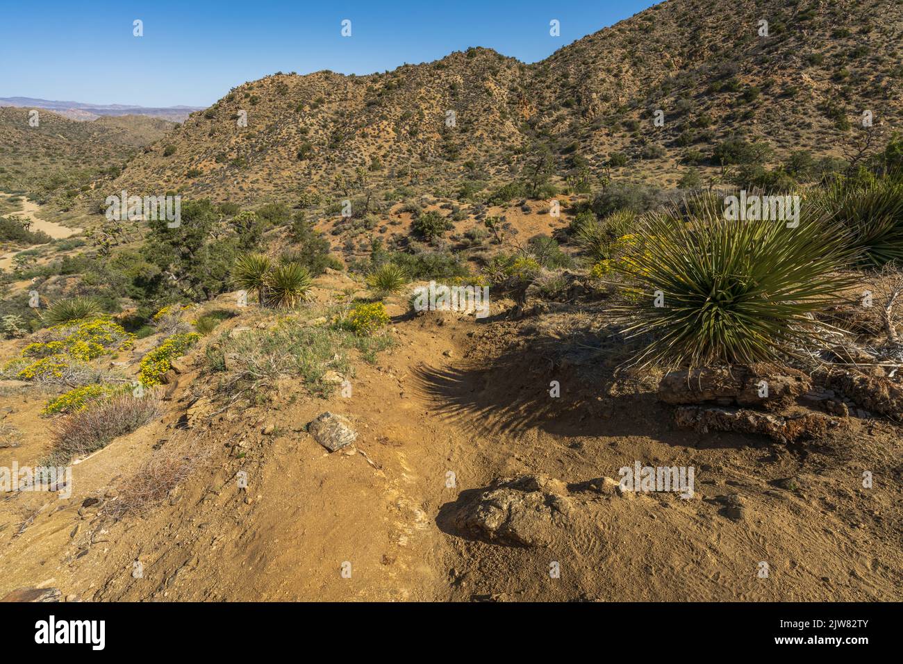 hiking the west side loop trail in black rock canyon, joshua tree ...