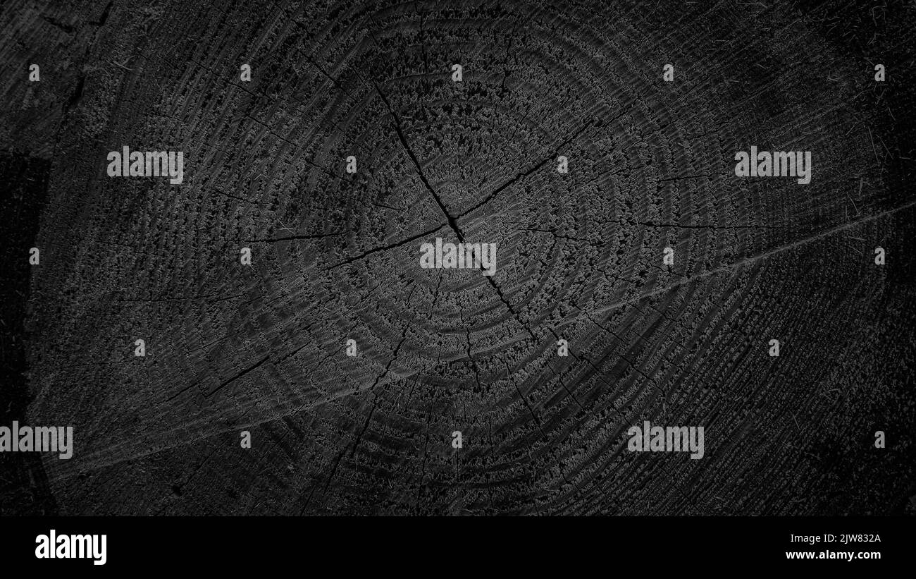 Dark black Sawed wood natural wooden background Cut surface of an old ...